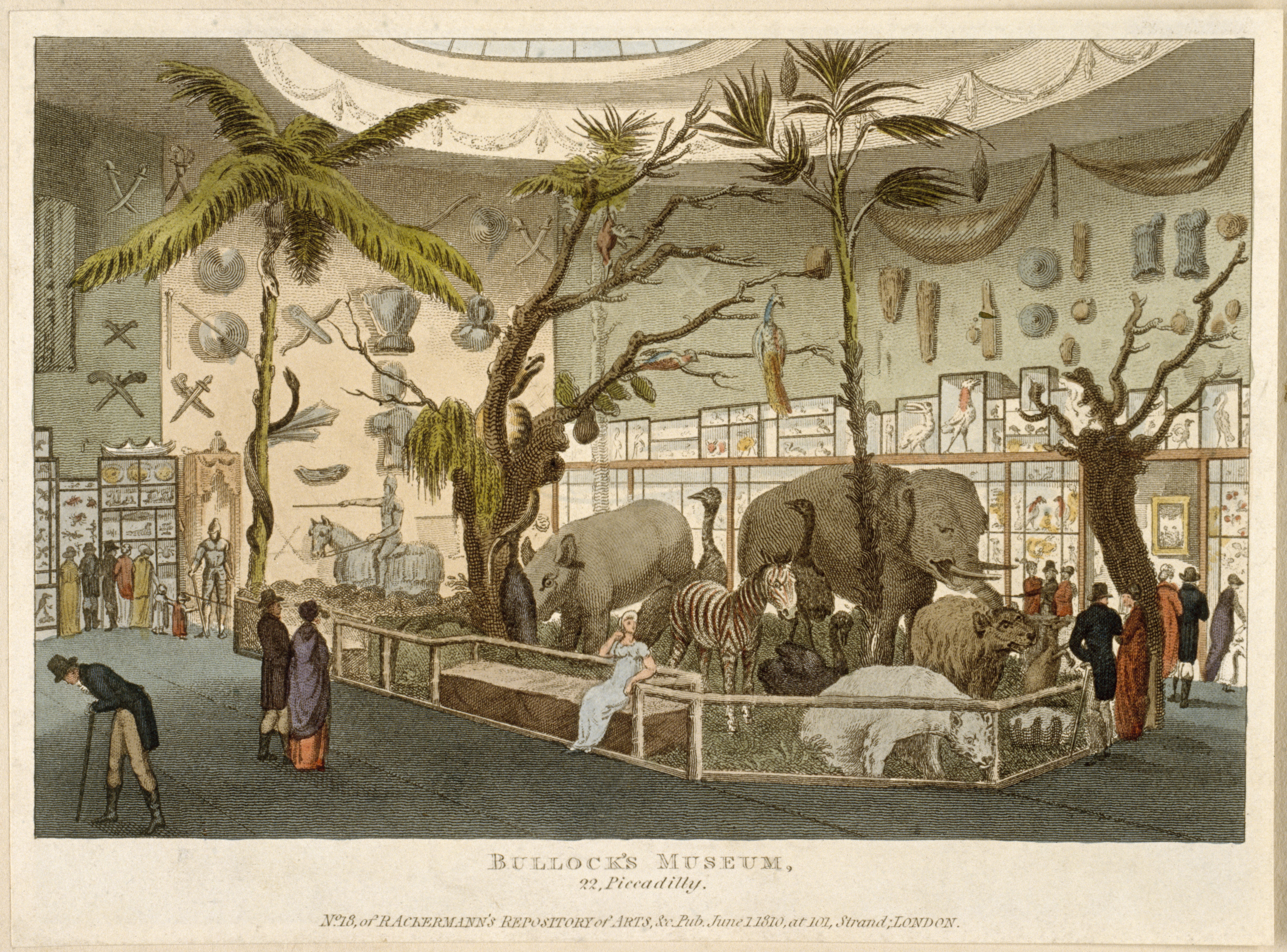 The History Of The Freak Show | Raz's Midnight Macabre